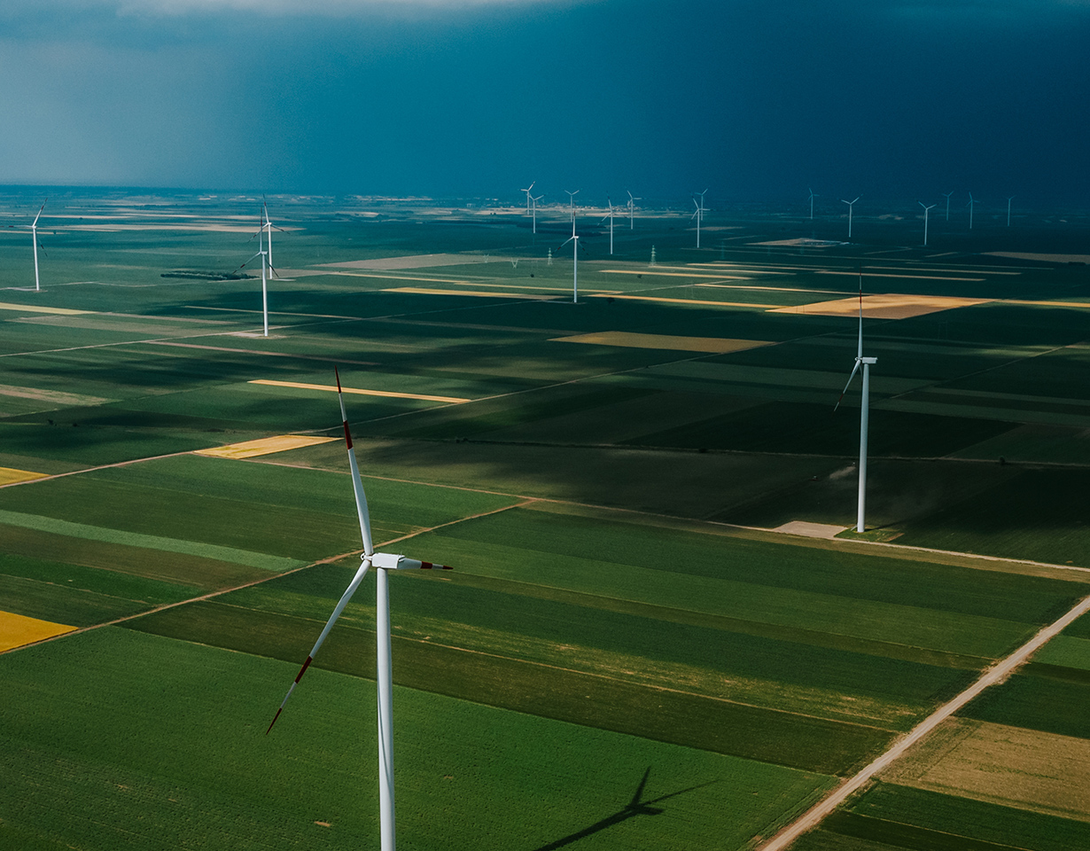 Driving Business Success through Sustainability - Cardano - UK Driving Business Success through Sustainability - Cardano - UK